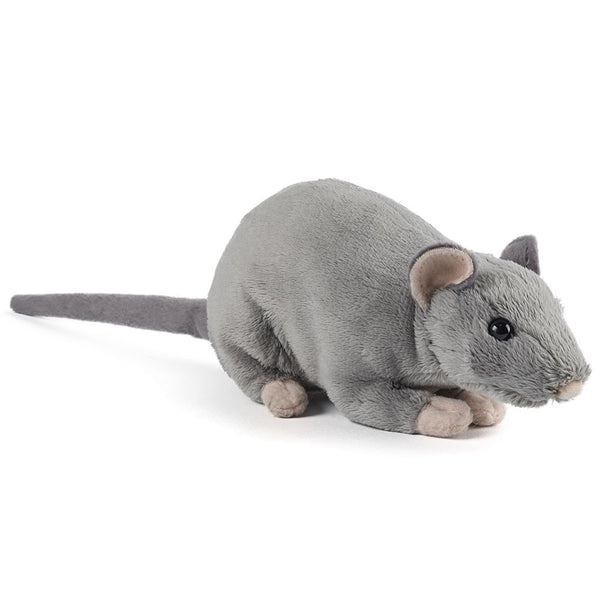 Rat with Squeak – Museums of History NSW